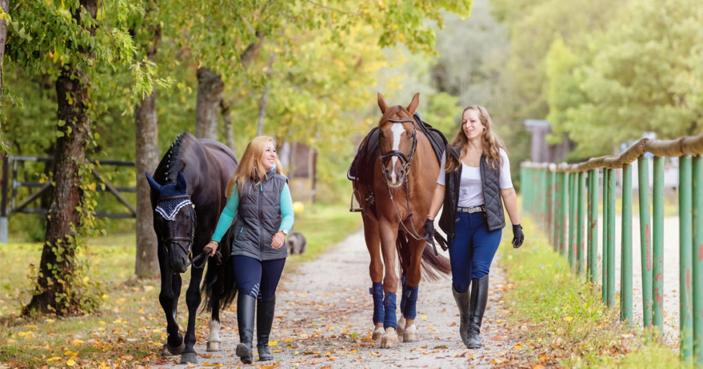 How Equine Therapy Benefits Patients in Addiction Treatment